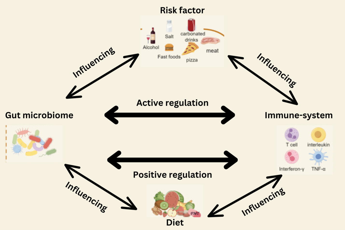 Advancements in Gut Microbiota Research: A Critical Review - medtigo ...