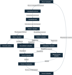Ribose-5-Phosphate Isomerase: A Critical Enzyme in Cellular Metabolism ...