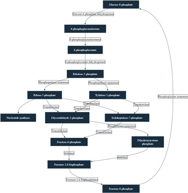 Ribose-5-Phosphate Isomerase: A Critical Enzyme in Cellular Metabolism ...