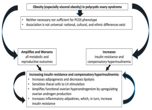 Understanding BMI Ranges and PCOS Prevalence: Key Insights - medtigo ...