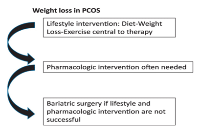 Understanding BMI Ranges and PCOS Prevalence: Key Insights - medtigo ...