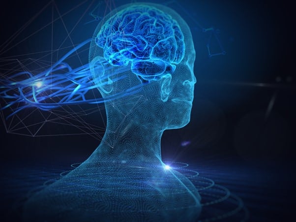 The Role of AI in Emergency Department Decision Making - medtigo Journal