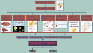 Biochemical Changes in Metabolic Syndrome - medtigo Journal