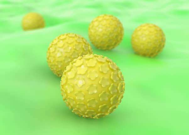 Prevalence Of HPV Among Women Attending Mbagathi County Referral ...