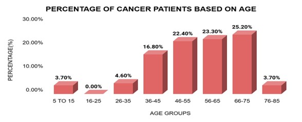 An Observational Study on Drug-Related Problems in the Treatment of ...