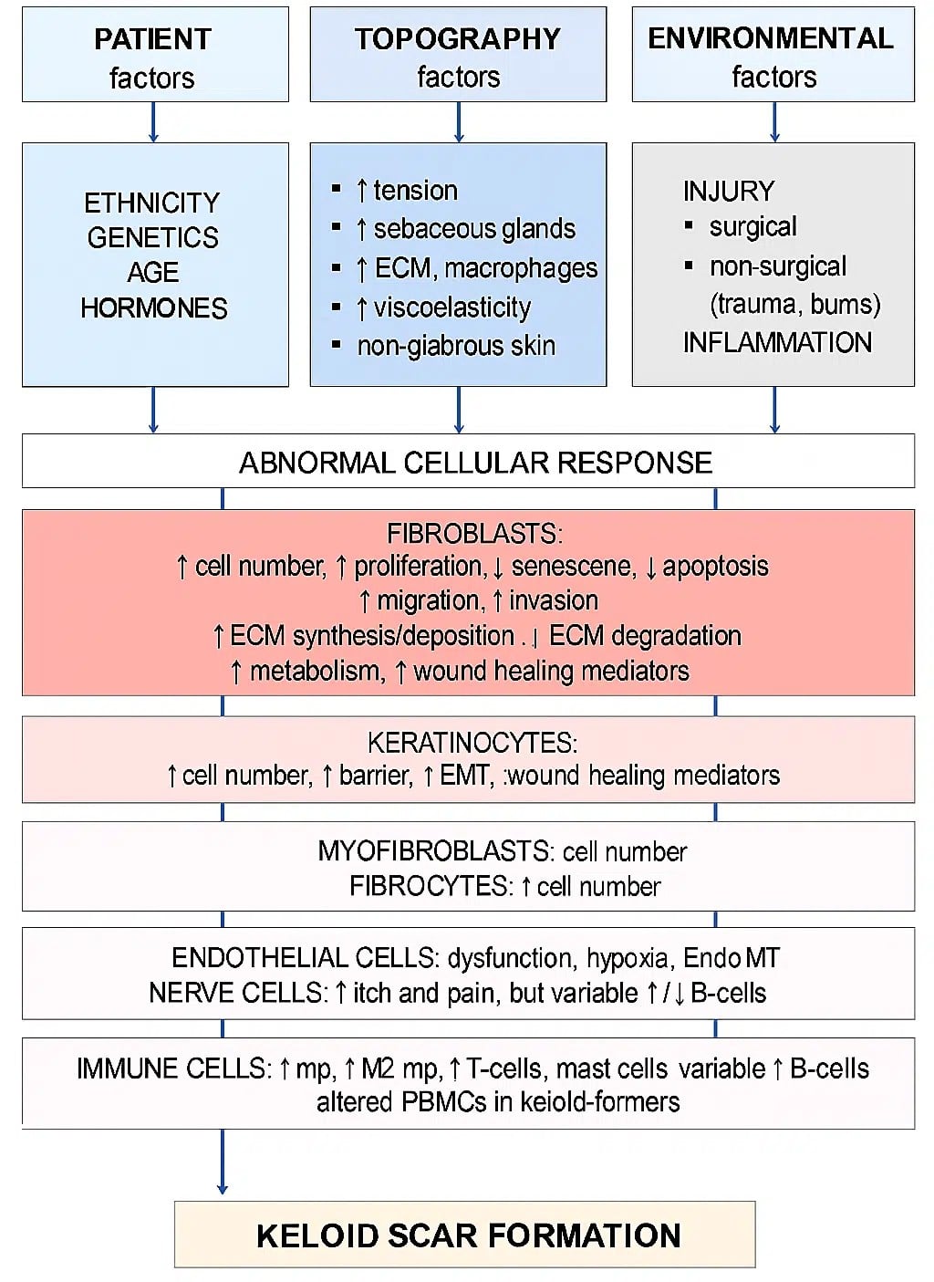 Eruptive Keloids in a Patient on Dialysis: A Case of Suspected ...